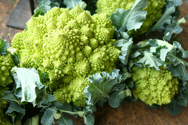 Judith-Barrett-in-Rome-022-640pw